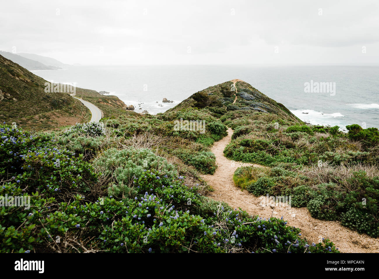 Pathway in the mountains with green brush leading to the ocean Stock ...