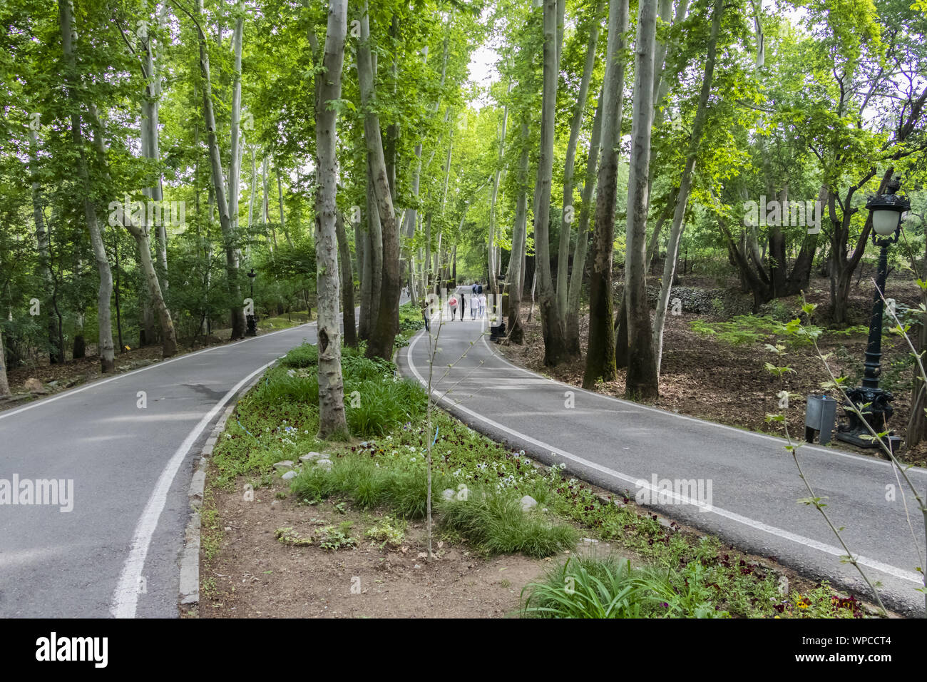 Tehran Street Sign High Resolution Stock Photography and Images - Alamy