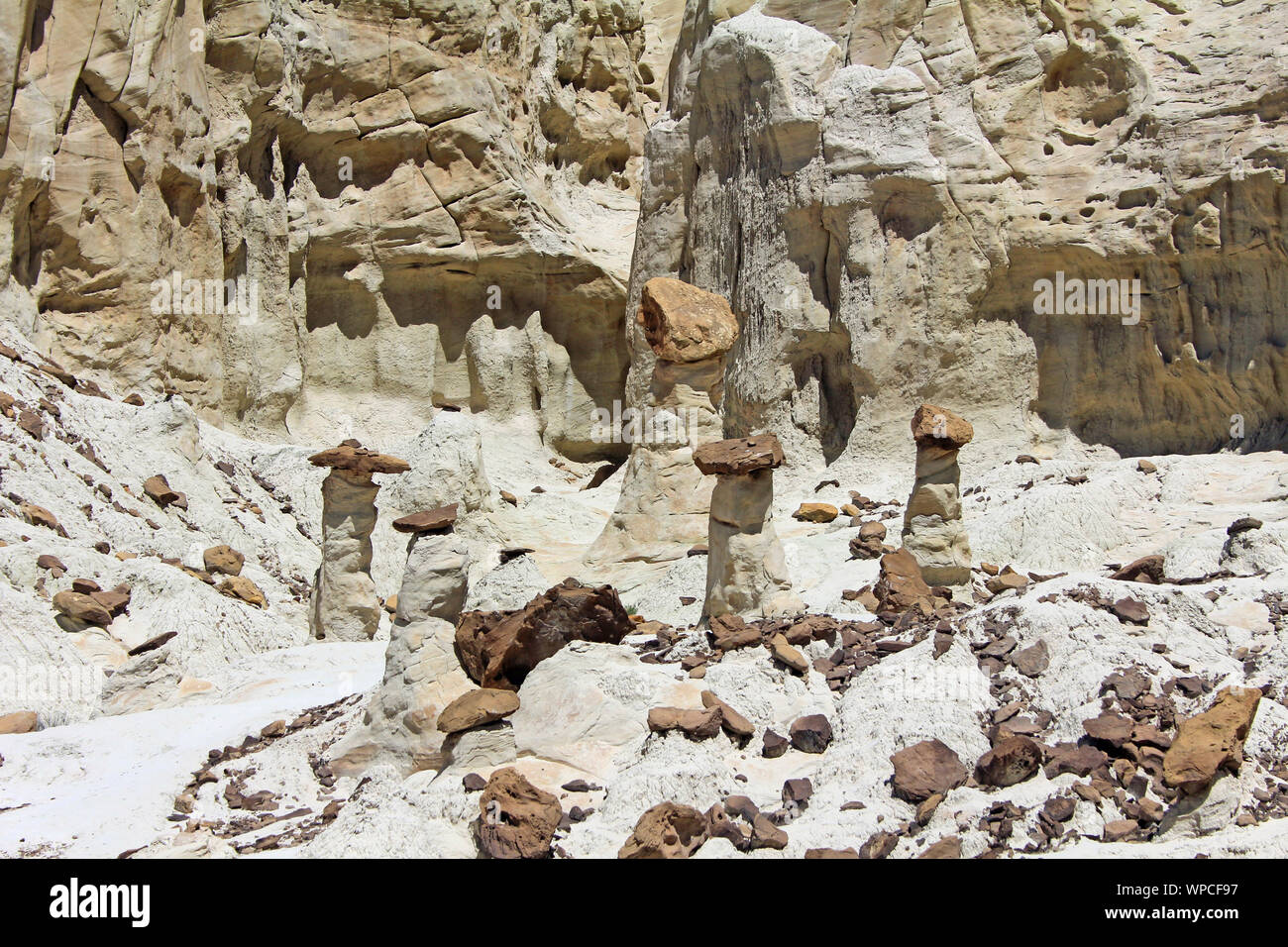 Group of toadstool, Utah Stock Photo - Alamy