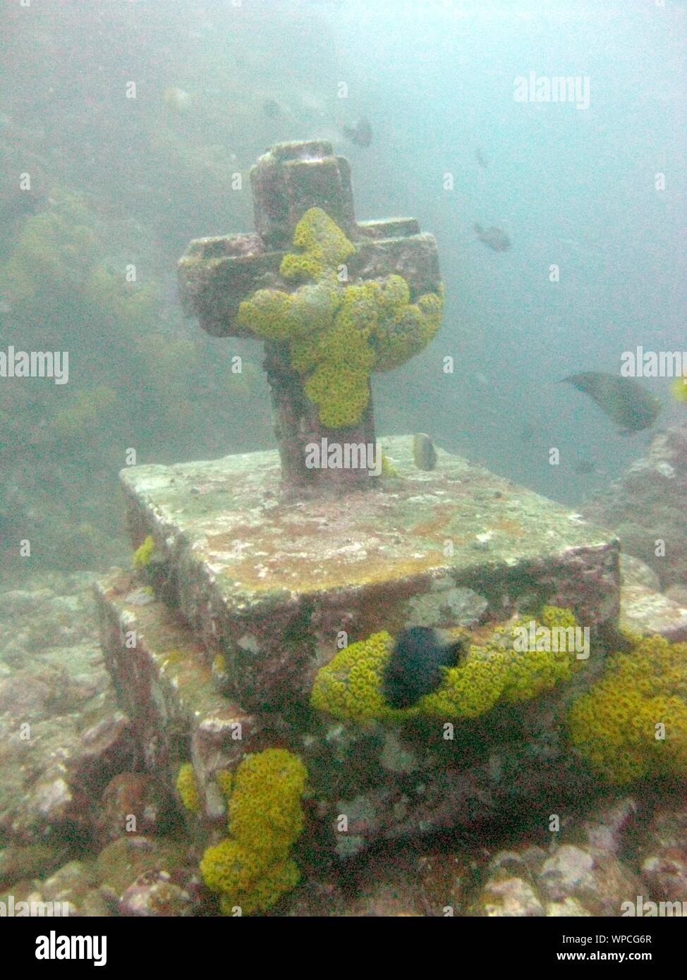 Underwater cemetery hi-res stock photography and images - Alamy