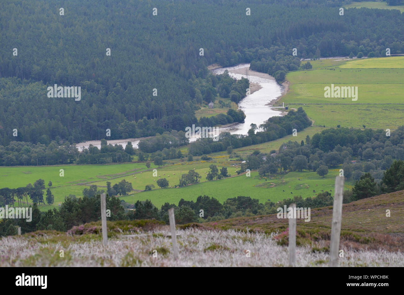 Views over the River Dee valley near Ballater, Cairngorms National Park ...