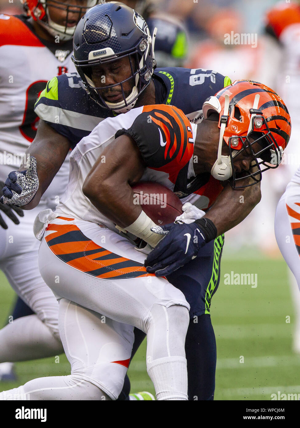John ross bengals hi-res stock photography and images - Alamy