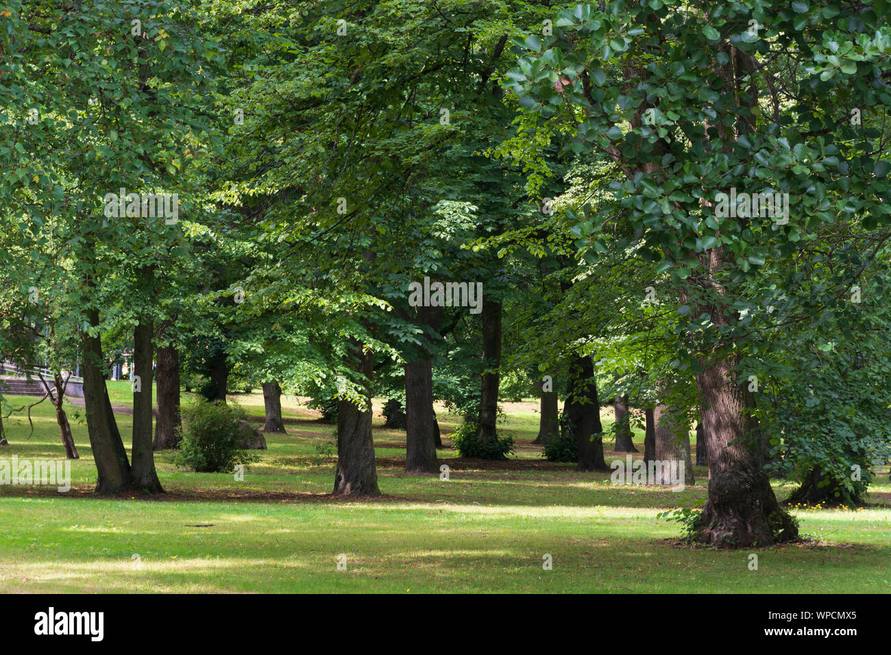 Kopli Cemetery park used to be a cemetery and now it is a park in ...