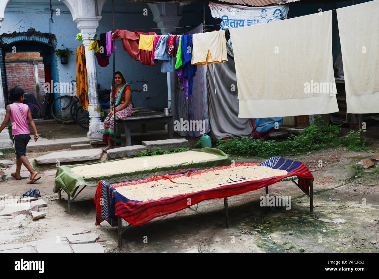 Drying lentils hi-res stock photography and images - Alamy