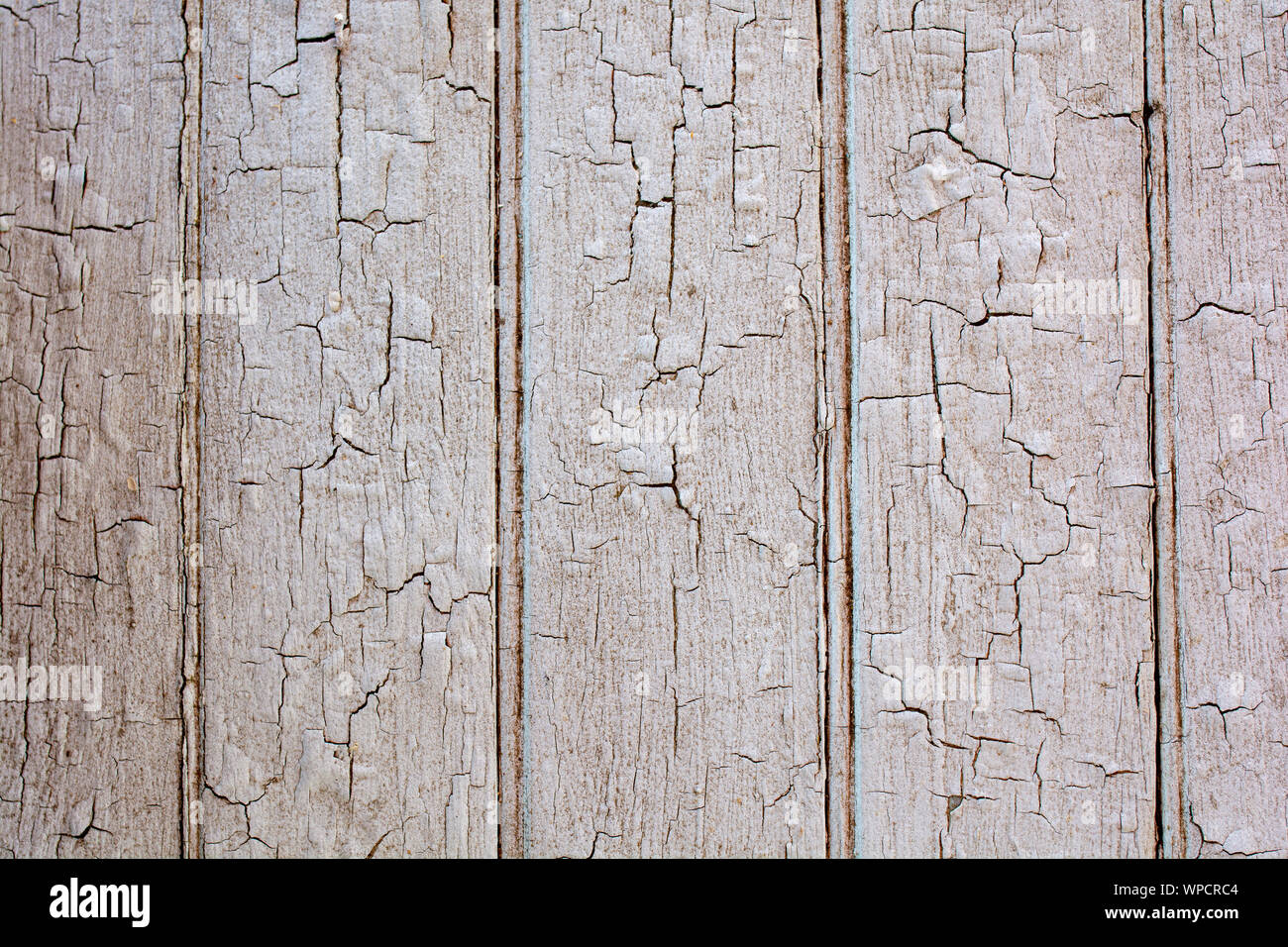 Aged boards with weathered cracked white paint positioned vertically ...