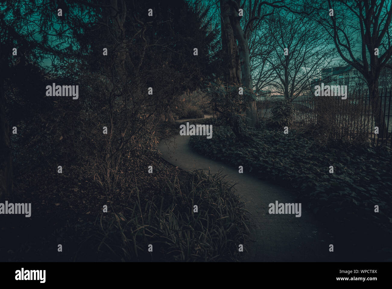 Spooky pathways with green lawns, in the garden at sunset. Top view of ...