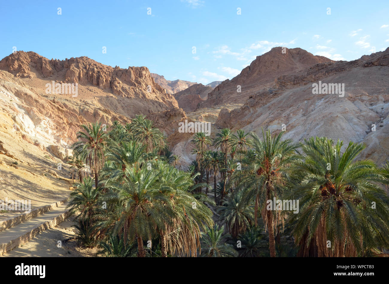 Oasis of Chebika Stock Photo - Alamy