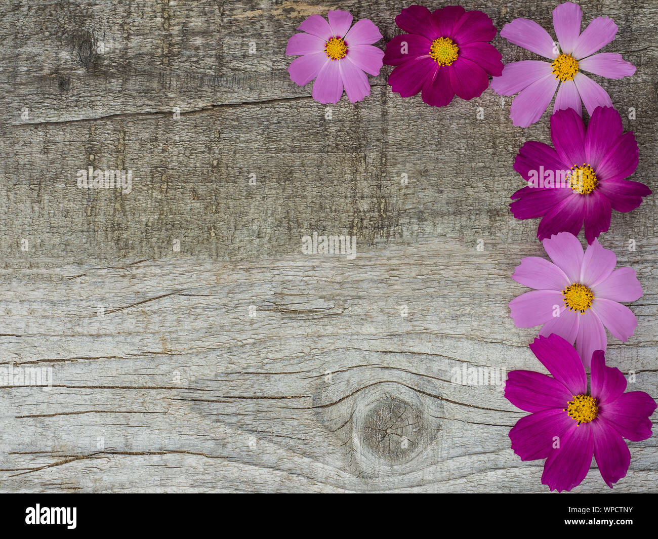 Beautiful bright flowers lying on unpainted boards Stock Photo - Alamy