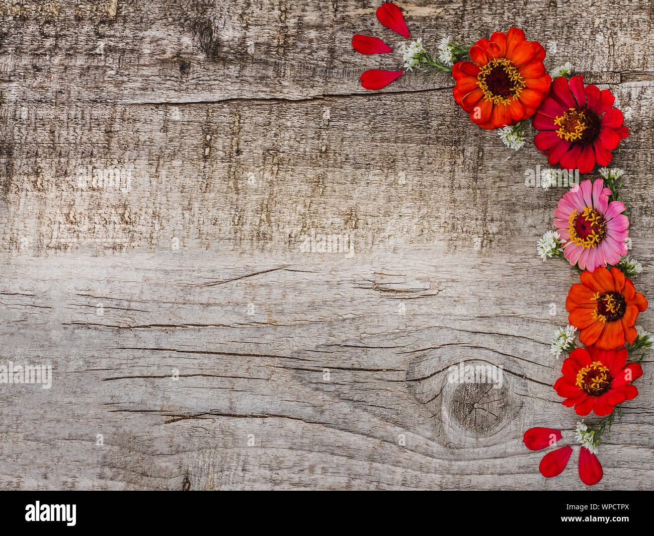Beautiful bright flowers lying on unpainted boards Stock Photo - Alamy