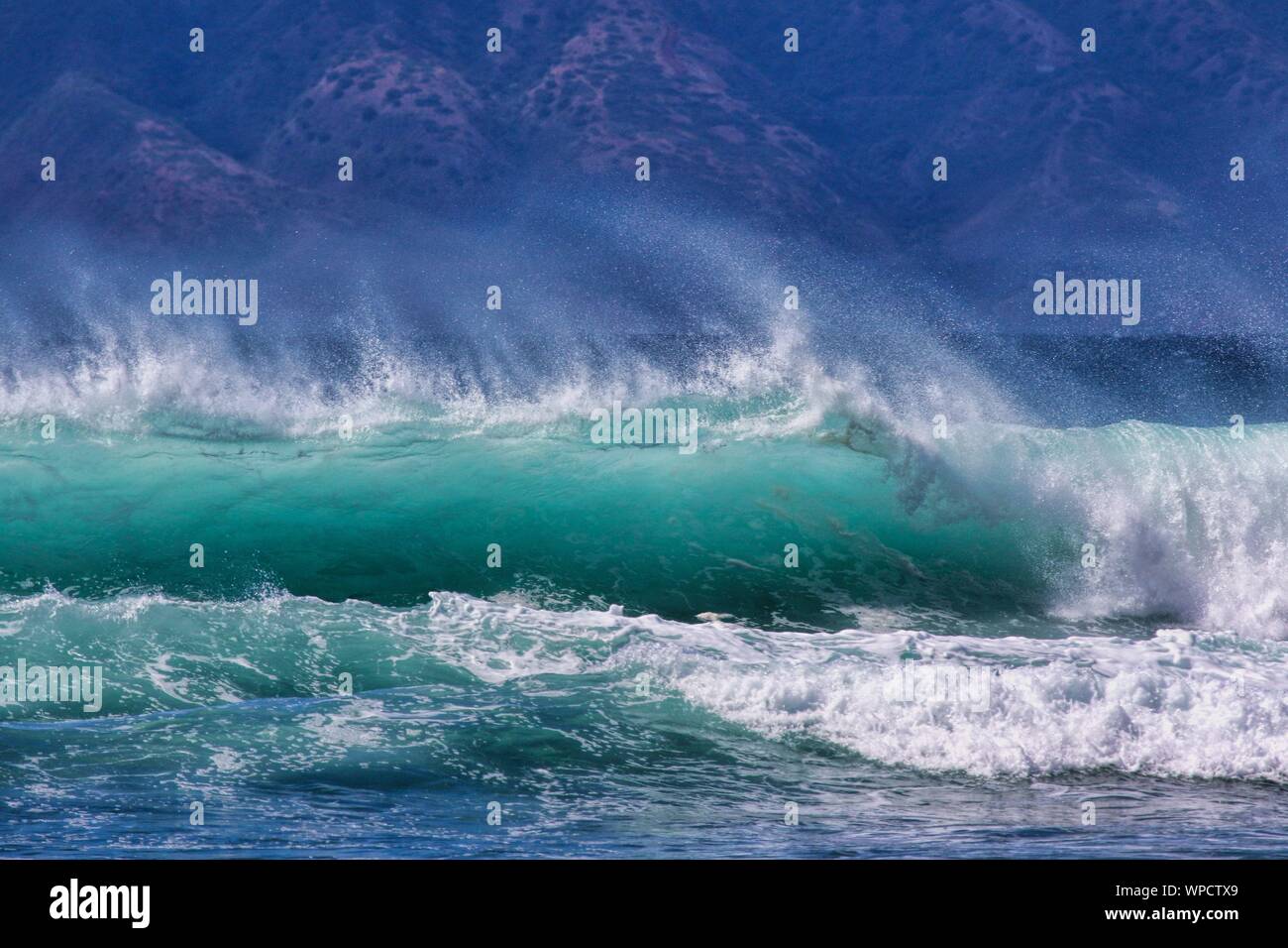 Beautiful ,explosive blue-green wave crashing near the shore on a beach ...