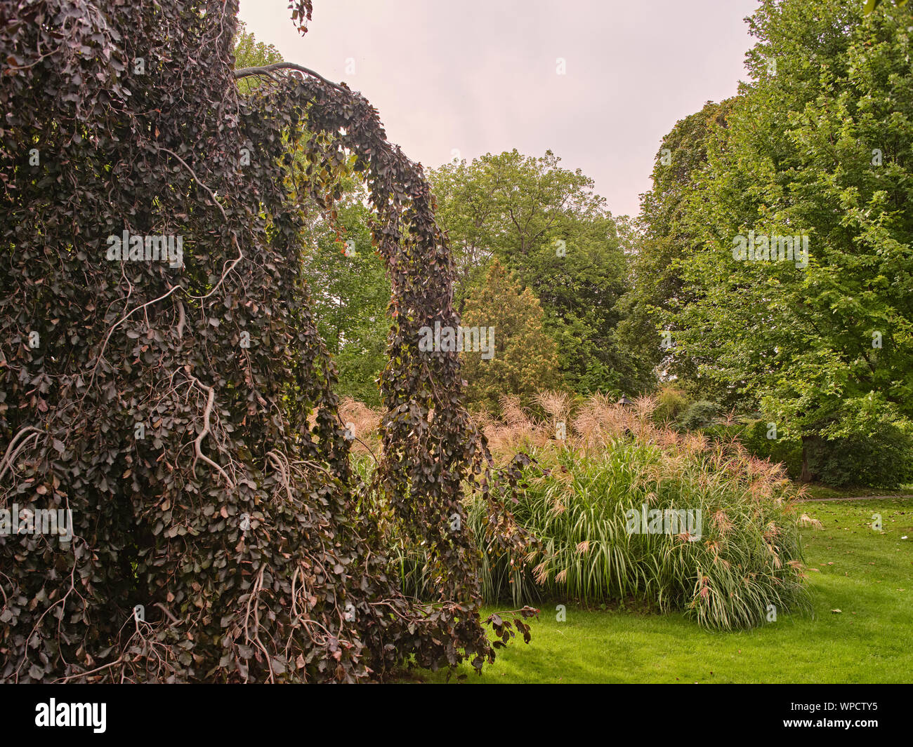 Rosetta McClain Gardens: The fully-accessible garden park features ...