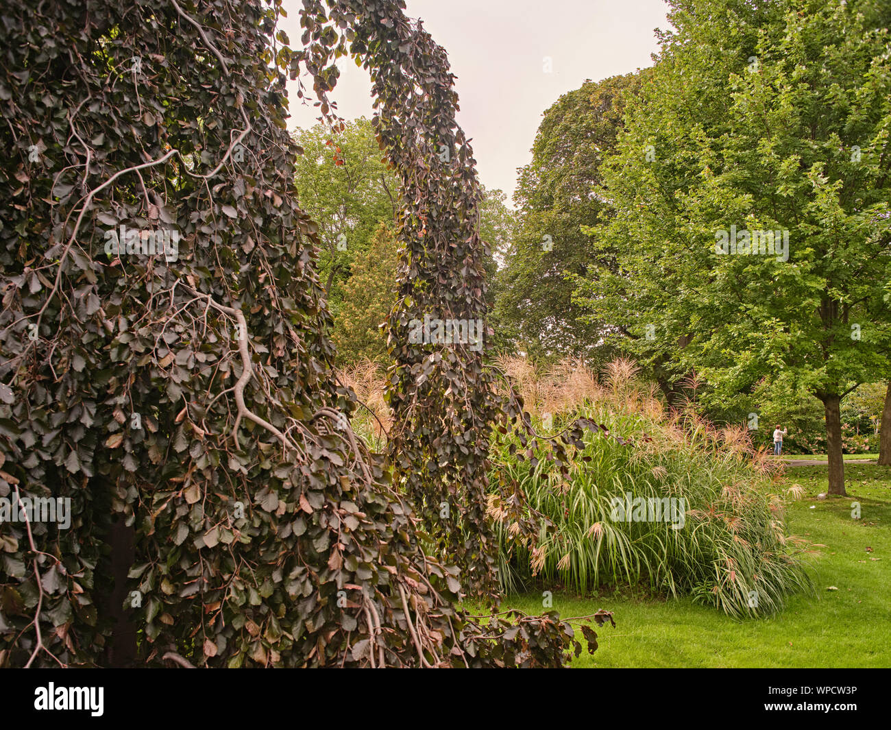 Rosetta McClain Gardens: The fully-accessible garden park features ...