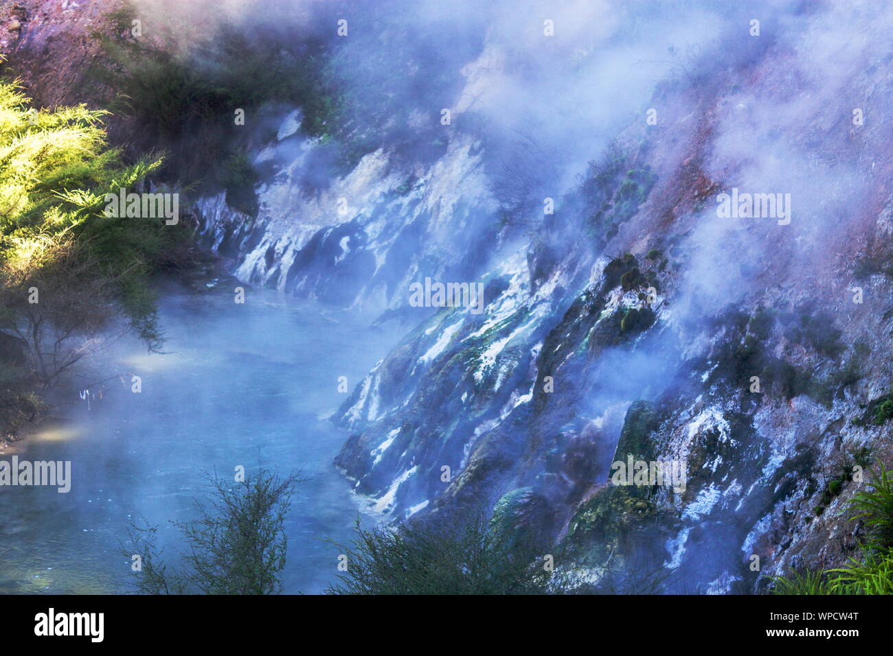 Steam rising from a geothermal river at Waimangu Volcanic Valley Stock ...