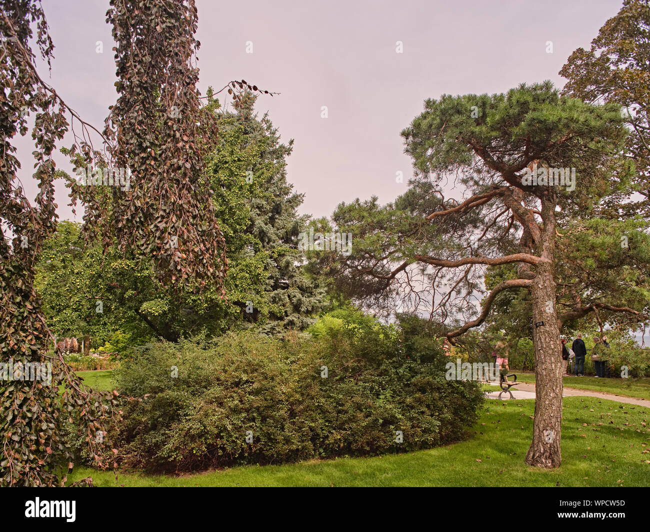 Rosetta McClain Gardens: The fully-accessible garden park features ...