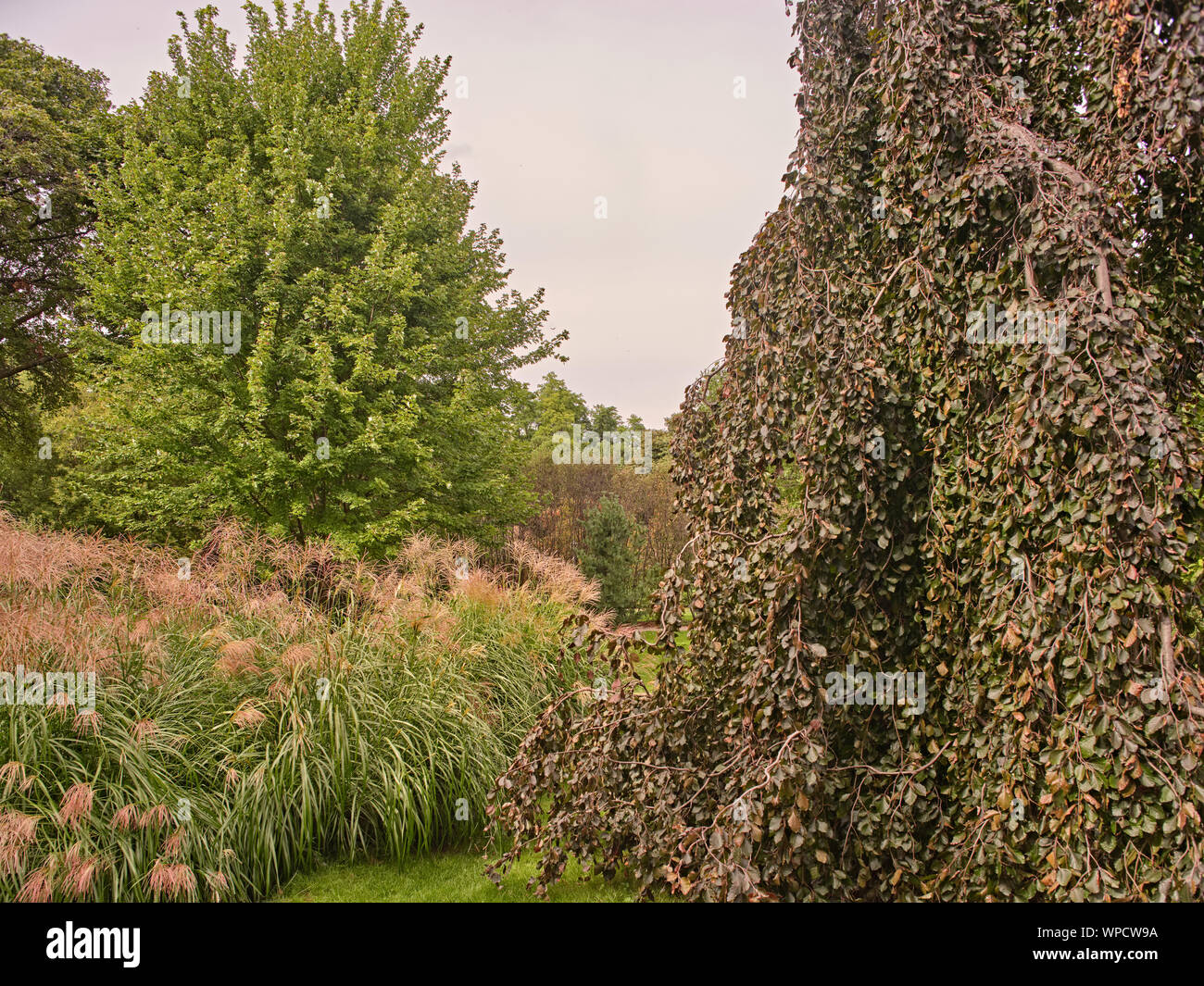 Rosetta McClain Gardens: The fully-accessible garden park features ...