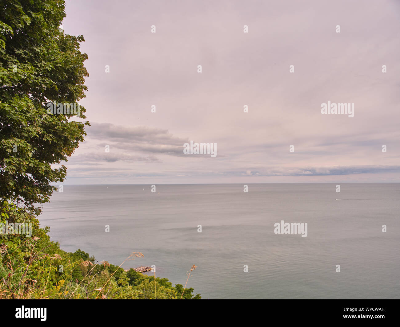 Rosetta McClain Gardens: The fully-accessible garden park features ...