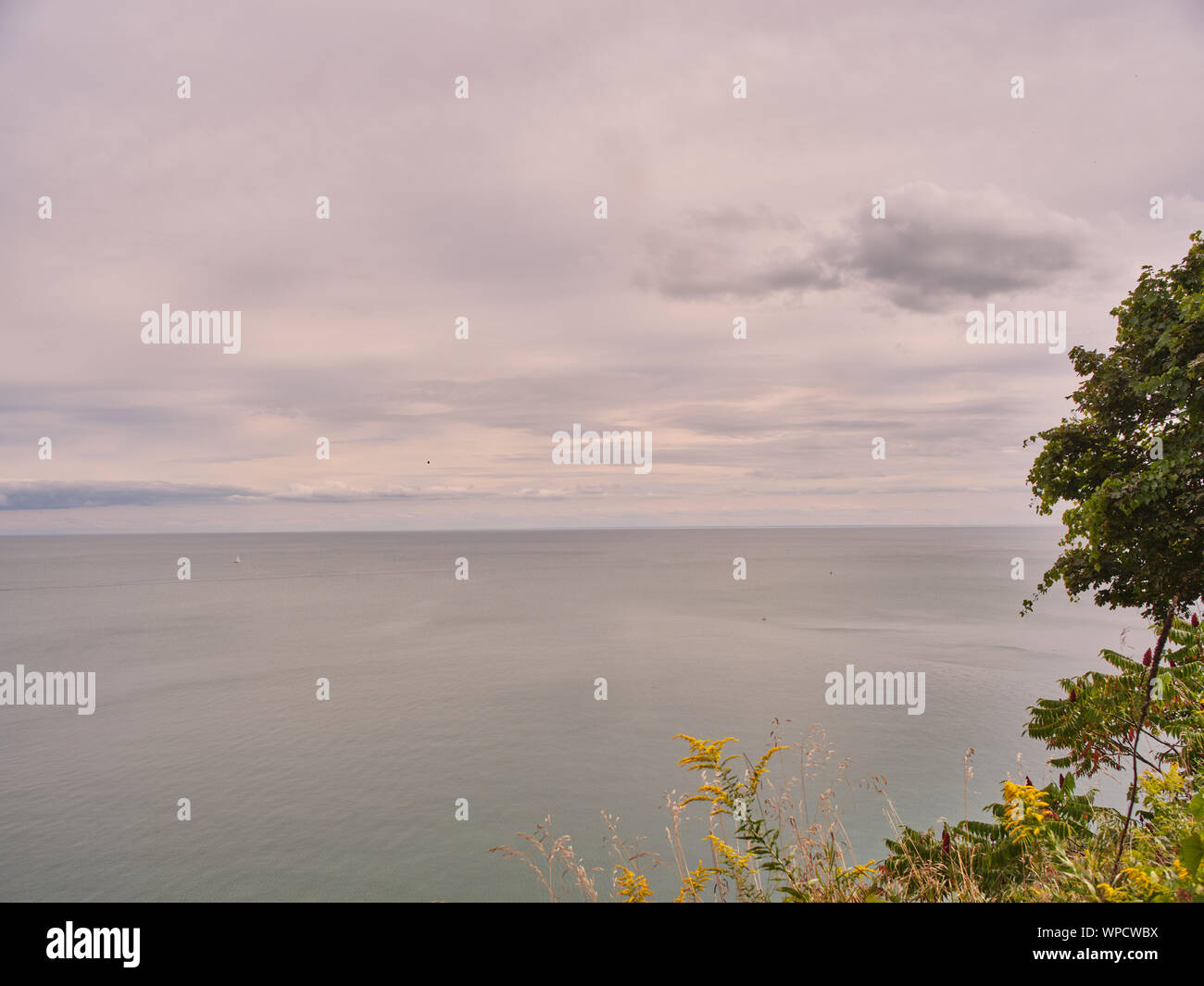 Rosetta McClain Gardens: The fully-accessible garden park features ...