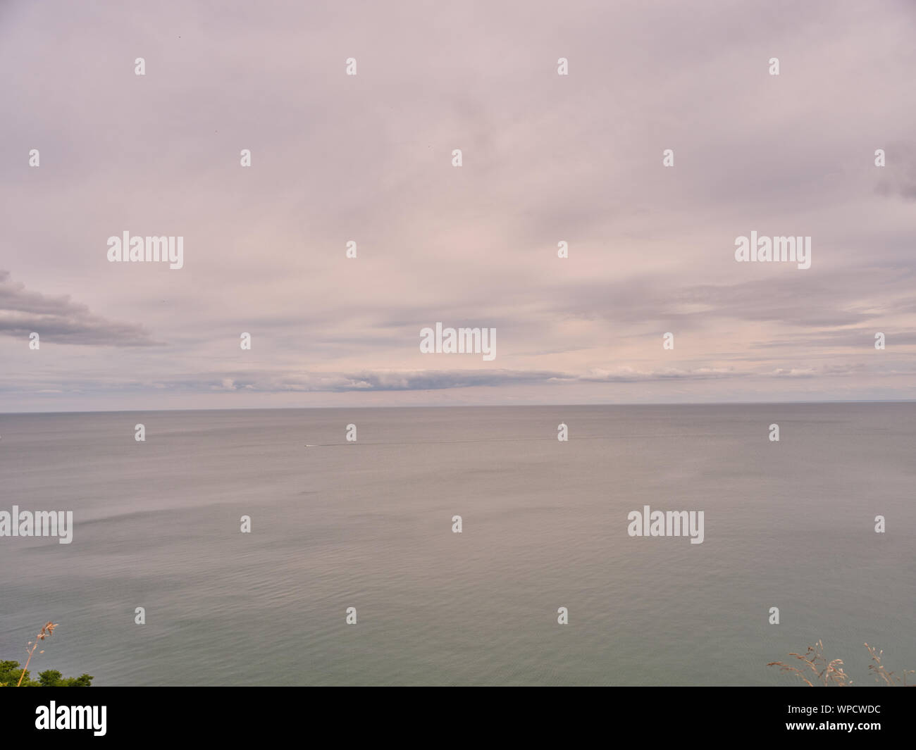 Rosetta McClain Gardens: The fully-accessible garden park features ...