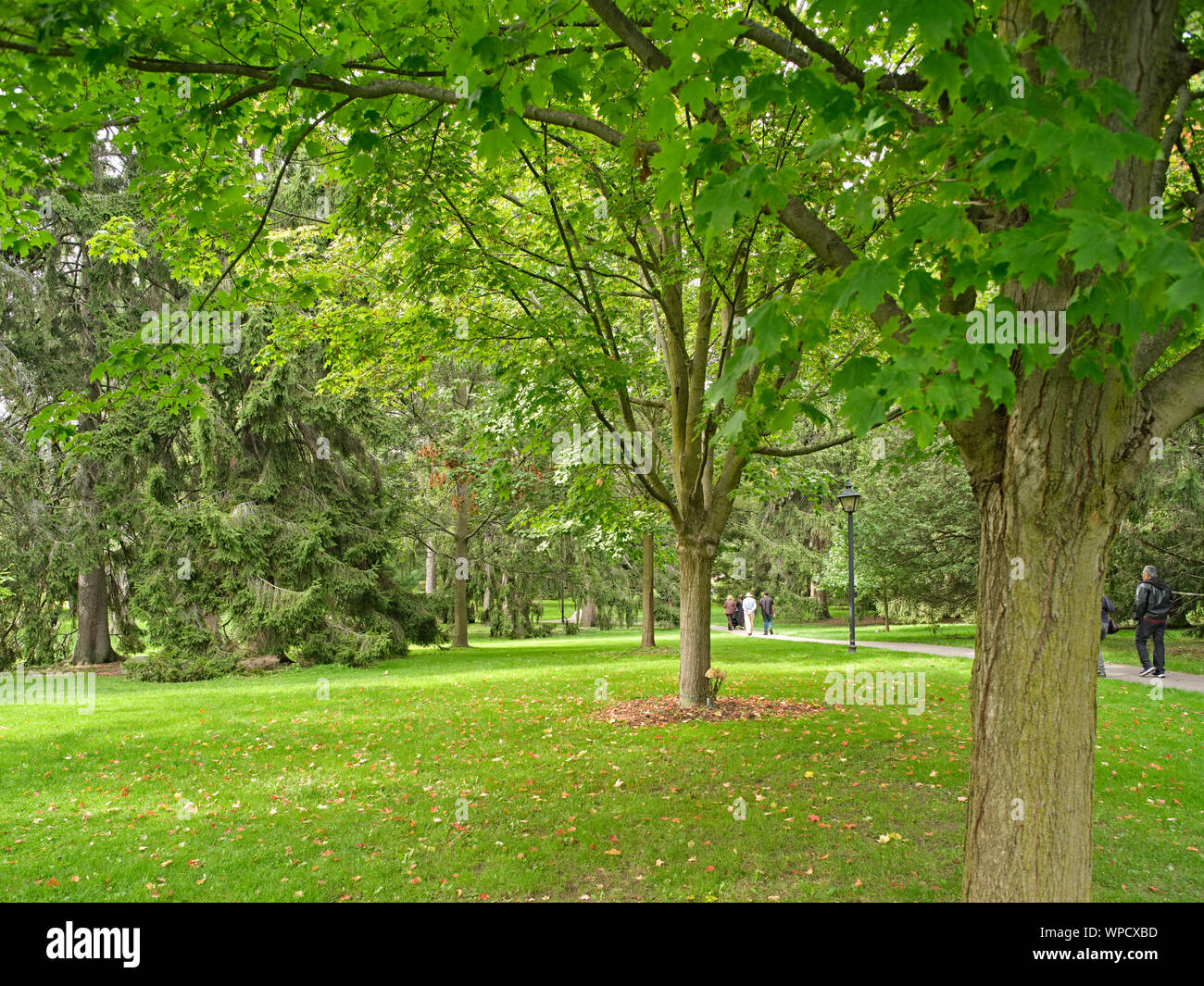 Rosetta McClain Gardens: The fully-accessible garden park features ...
