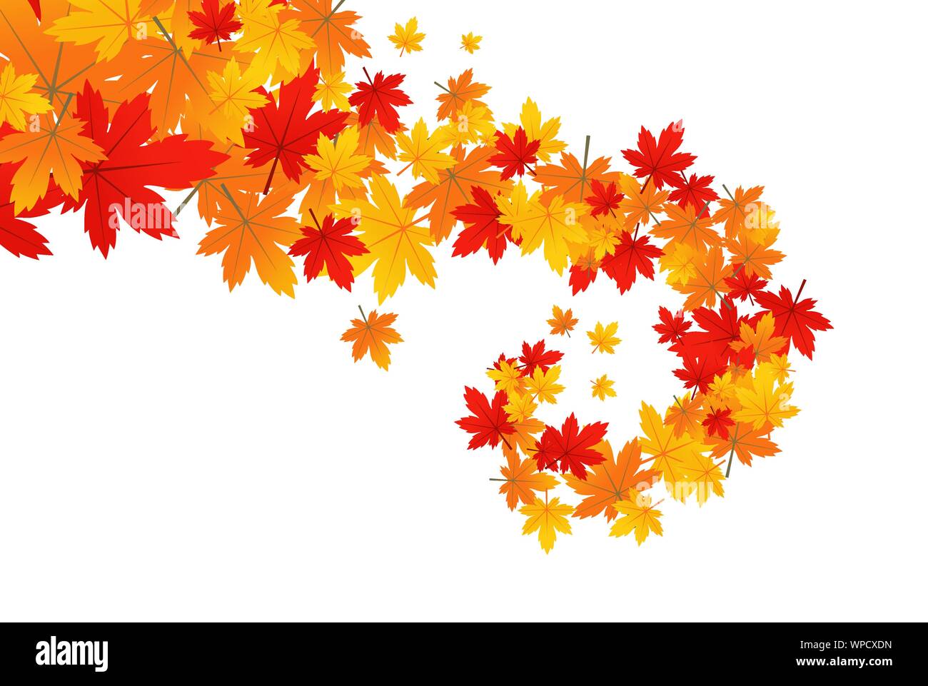 Autumn leaves vector illustration Stock Vector Image & Art - Alamy