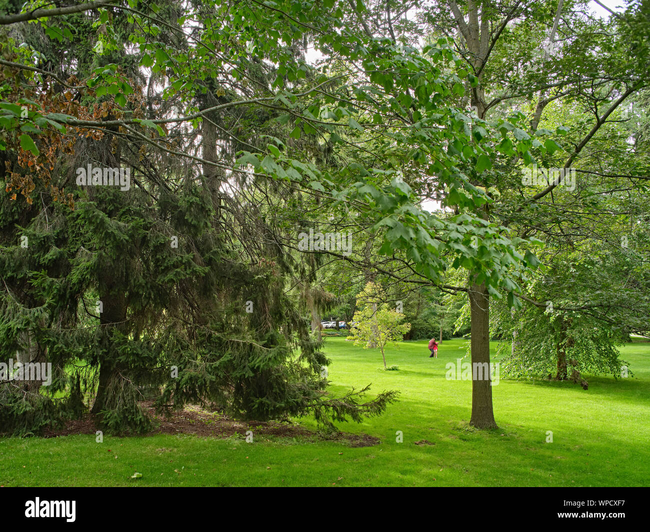 Rosetta McClain Gardens: The fully-accessible garden park features ...