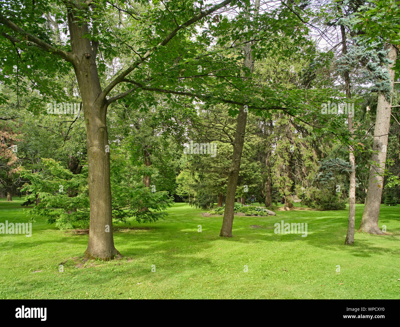 Rosetta McClain Gardens: The fully-accessible garden park features ...