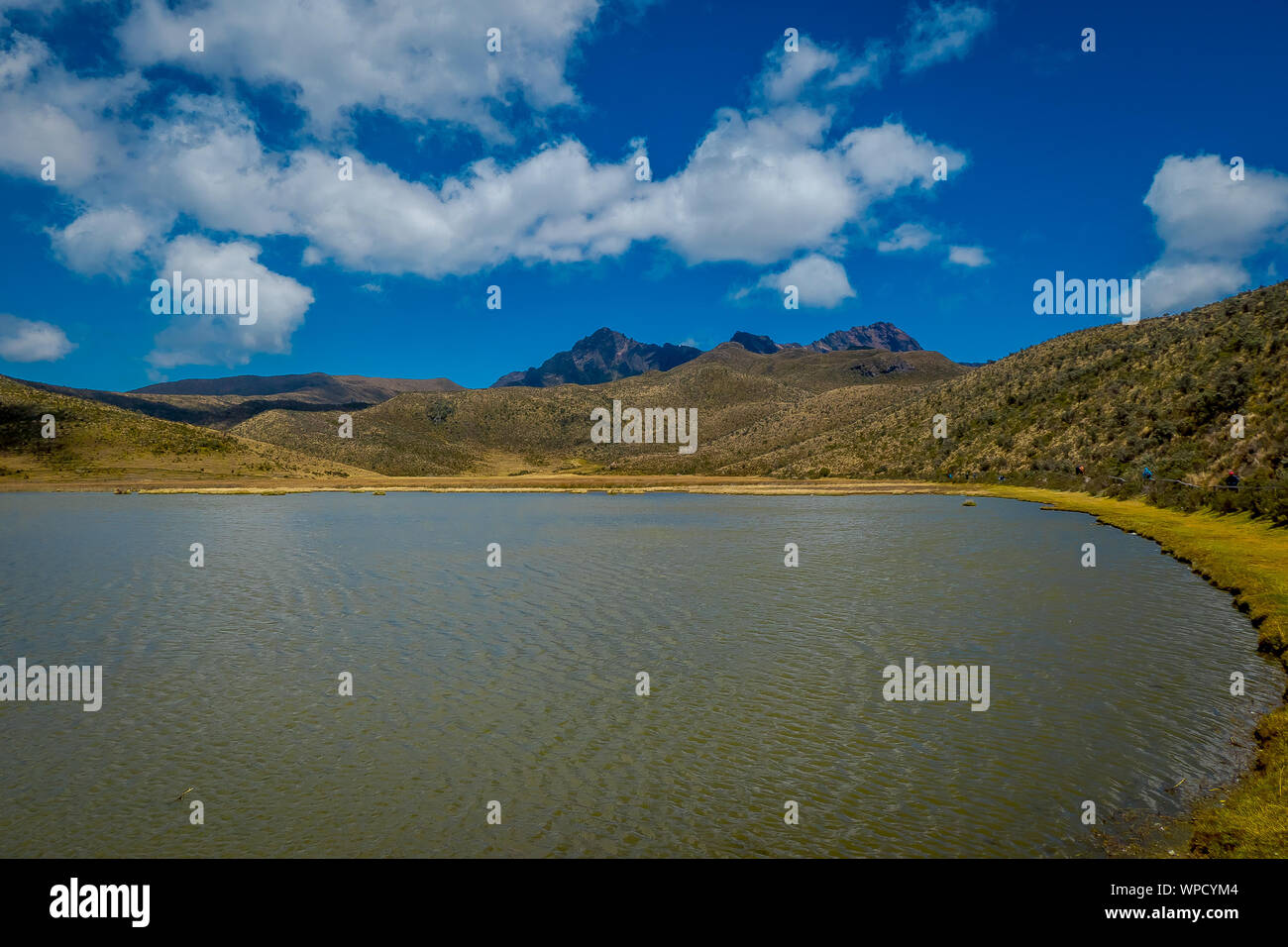 Shore of the lake Limpiopungo located in Cotopaxi national park ...