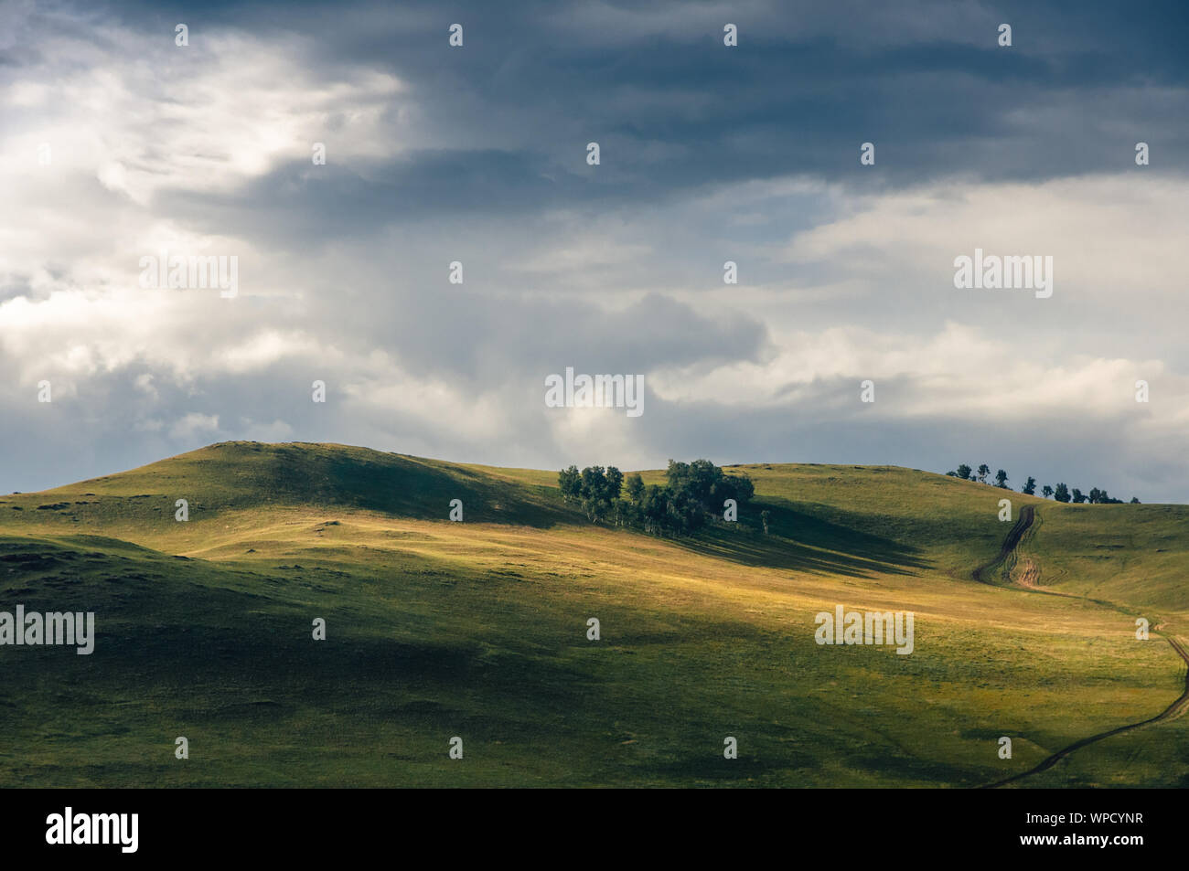 Grass hills covered with trees in steppe under spectacular clouds sky ...