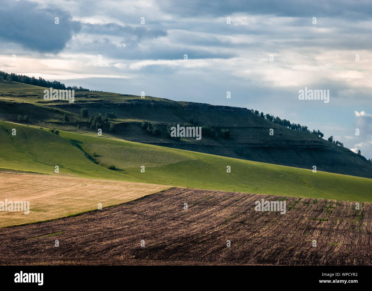 Agricultural fields, meadows and grass hills in steppe at Khakassia ...
