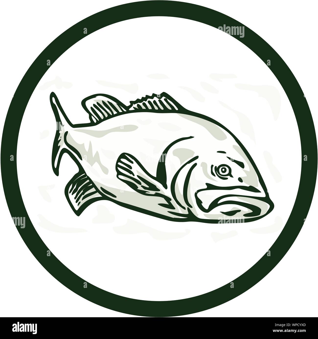 Largemouth Bass Fish Front Side Circle Cartoon Stock Vector Image & Art ...