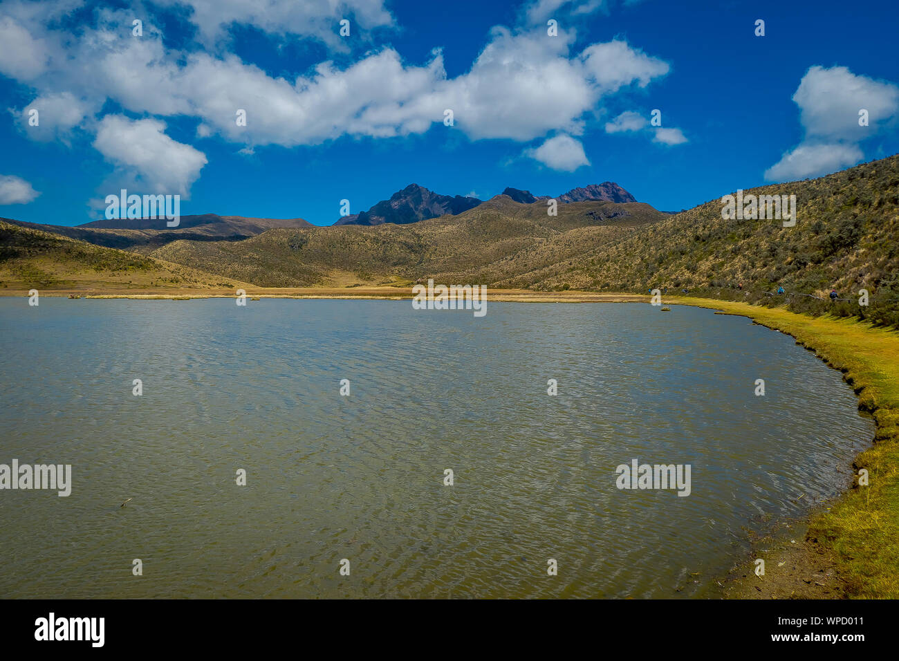 Shore of the lake Limpiopungo located in Cotopaxi national park ...