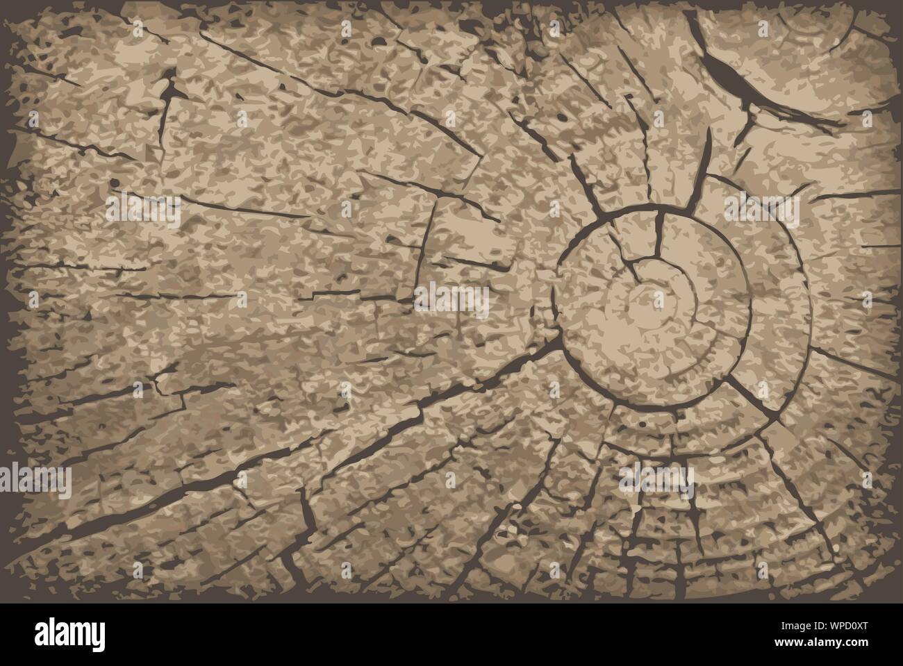 Realistic vector end of old log - background Stock Vector Image & Art ...