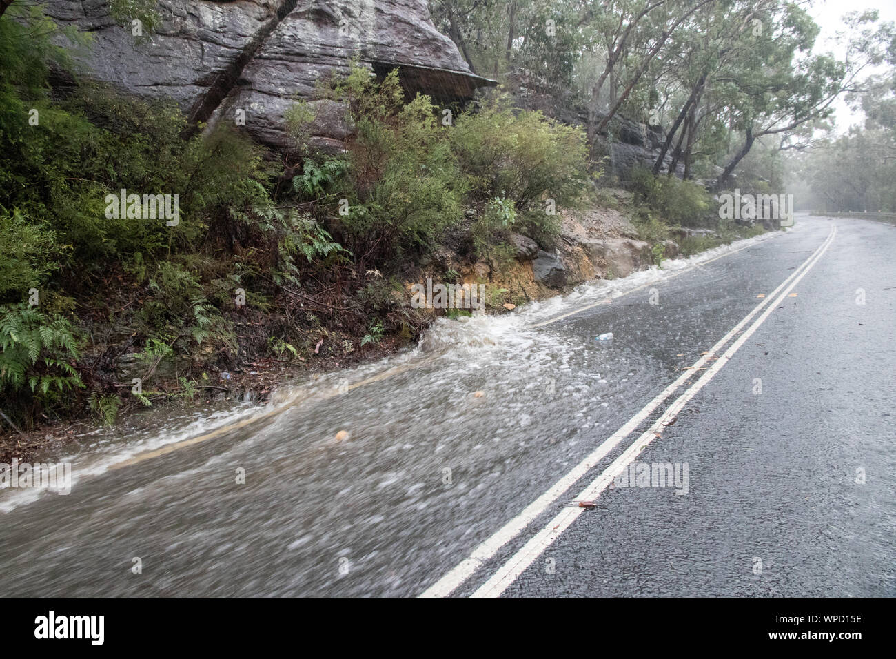 Heavy rain falling on road Stock Photo - Alamy