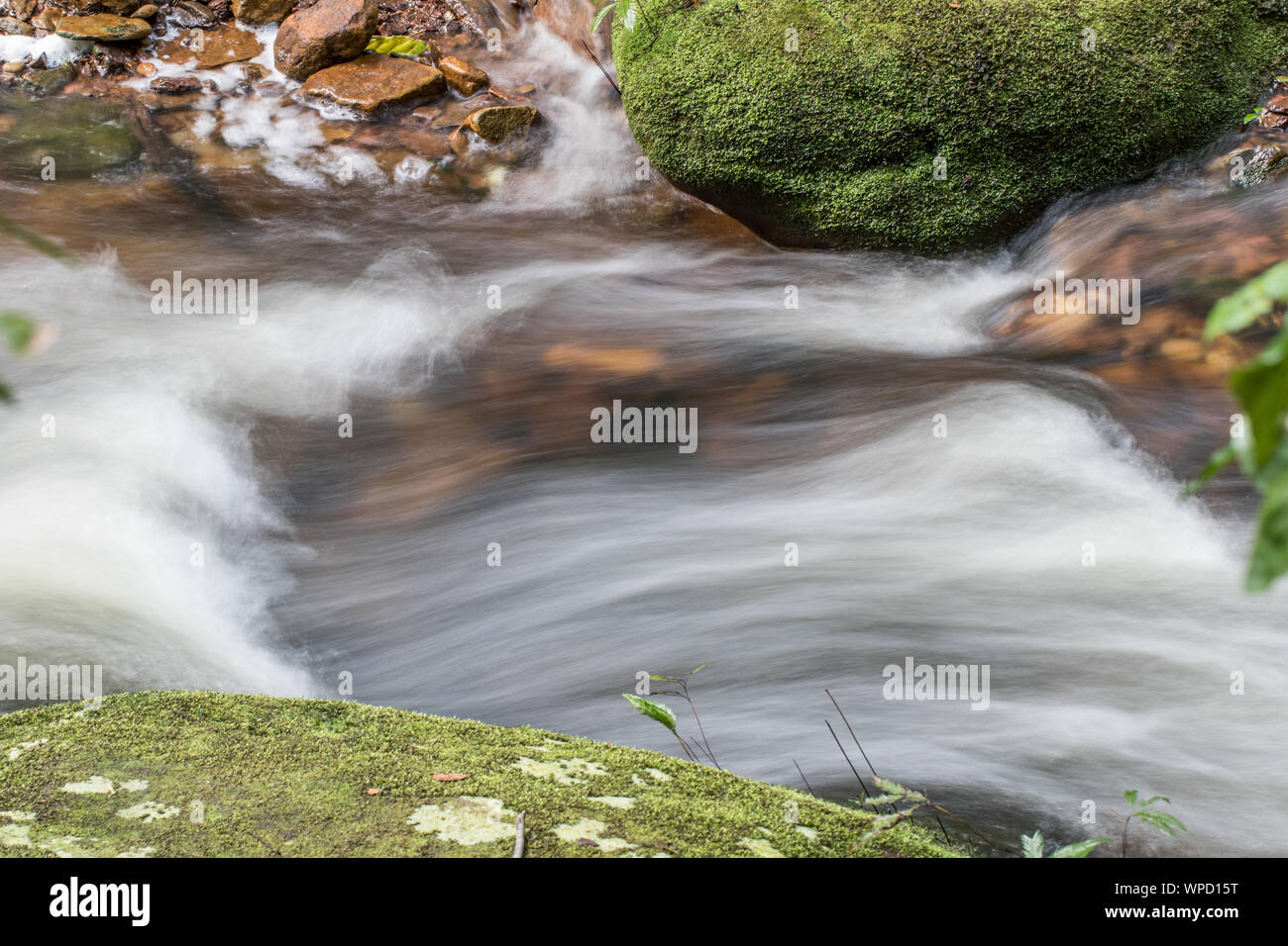 Flowing stream with low shutter speed Stock Photo - Alamy