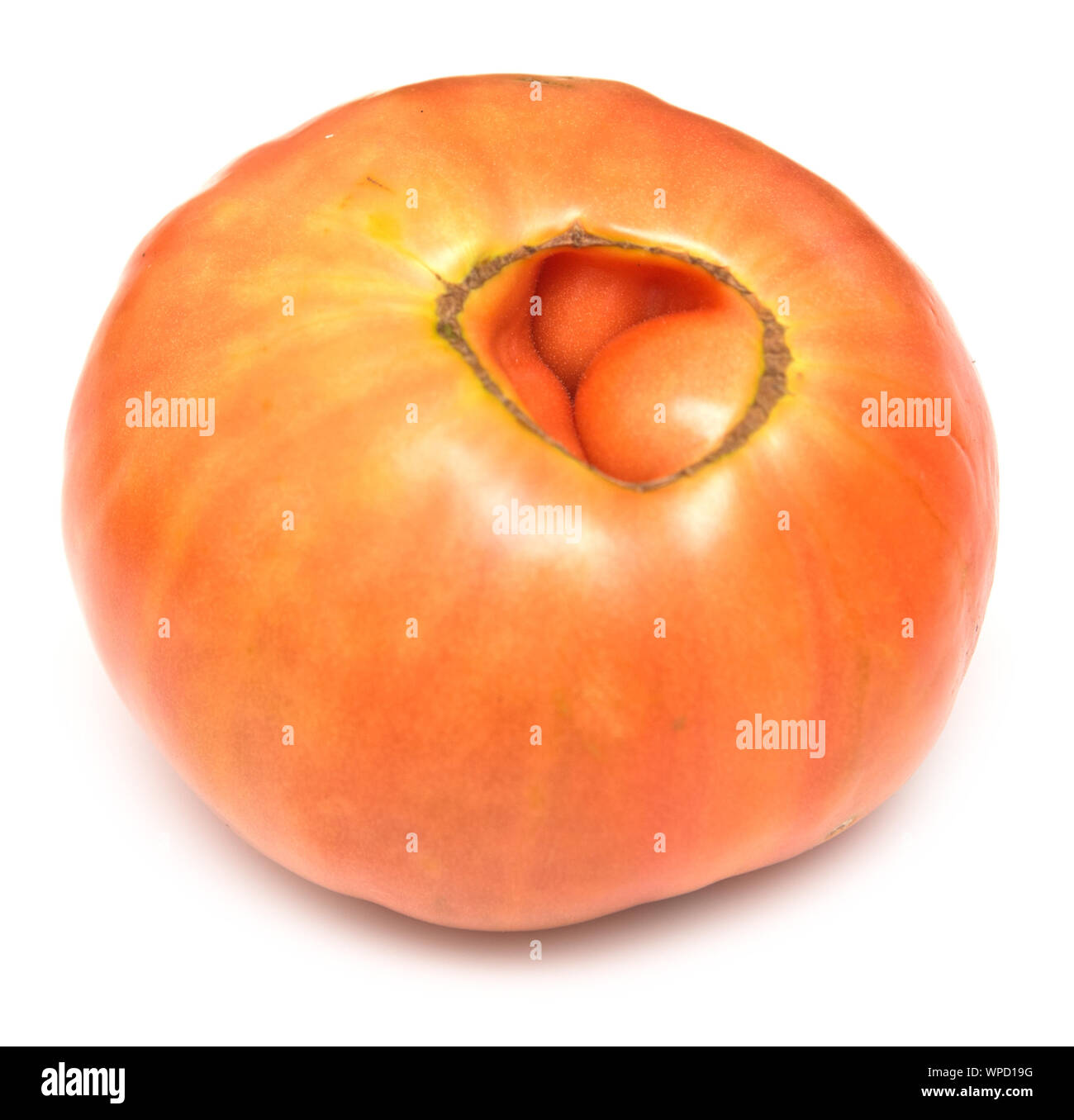 Tomato farm harvest Cut Out Stock Images & Pictures - Alamy