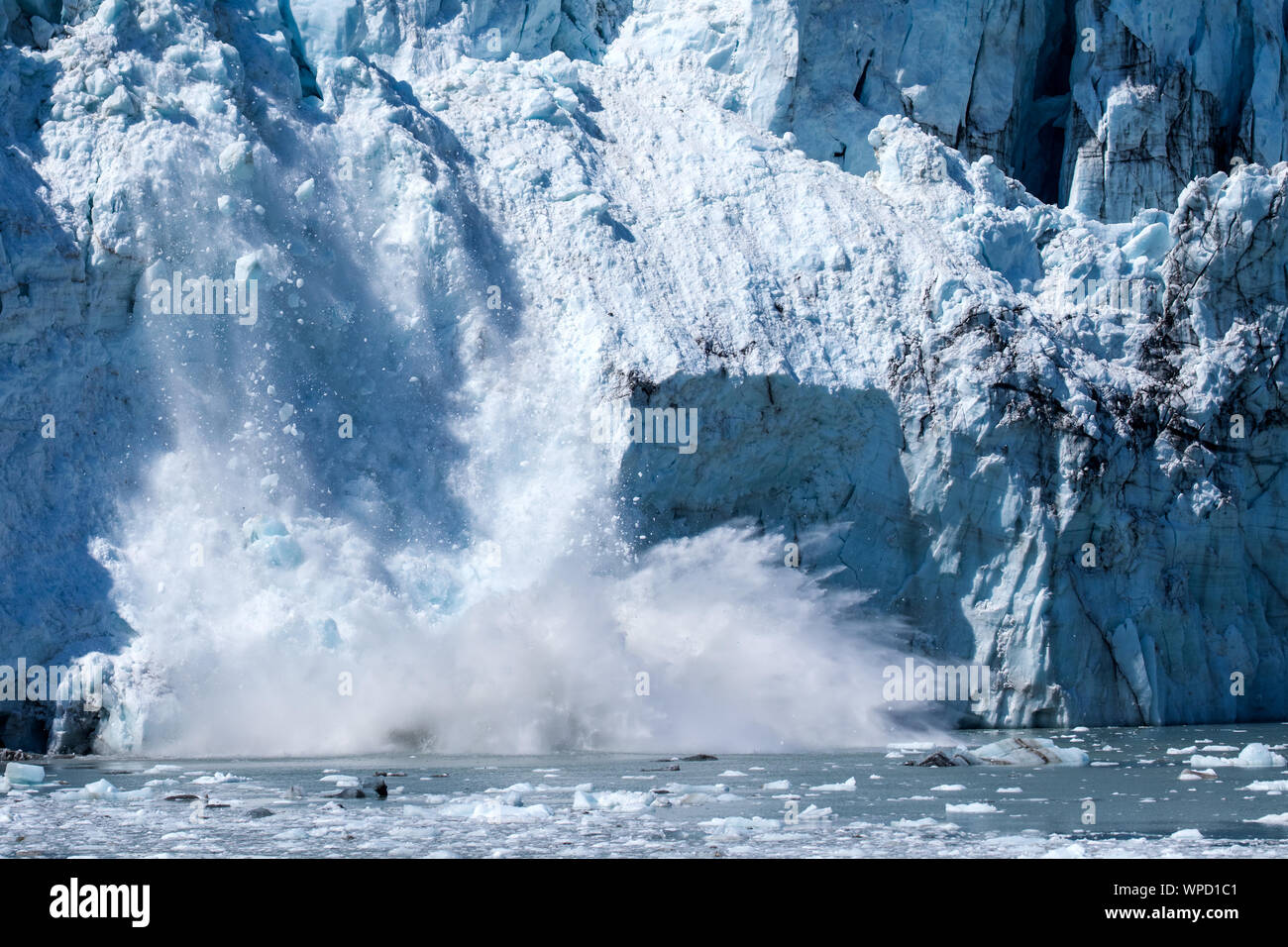Glacier calving in Glacia Bay Alaska Stock Photo - Alamy