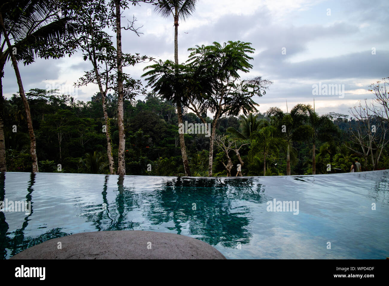 A luxury infinity pool in a tropical resort Stock Photo - Alamy