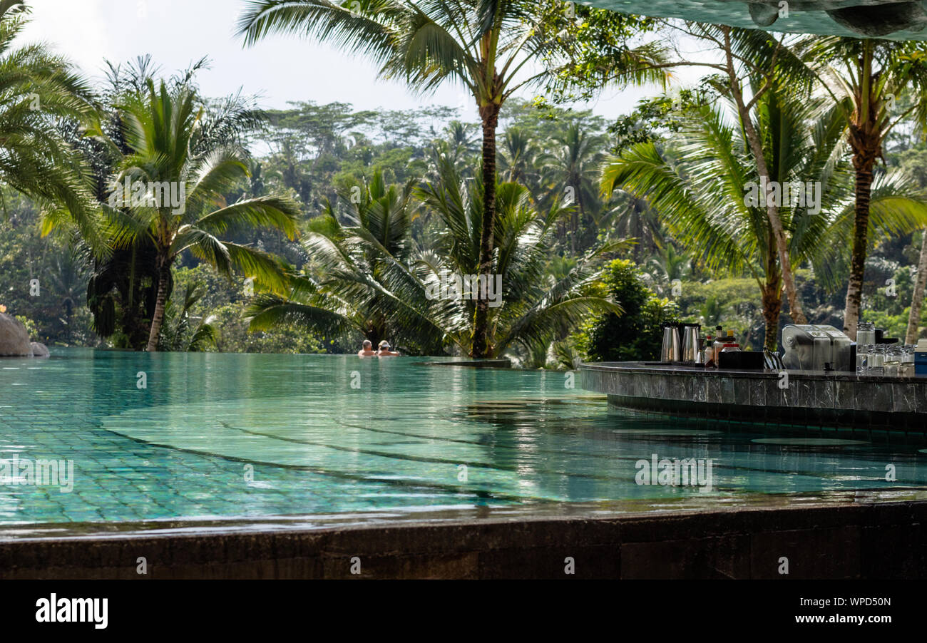 A luxury infinity pool in a tropical resort Stock Photo - Alamy