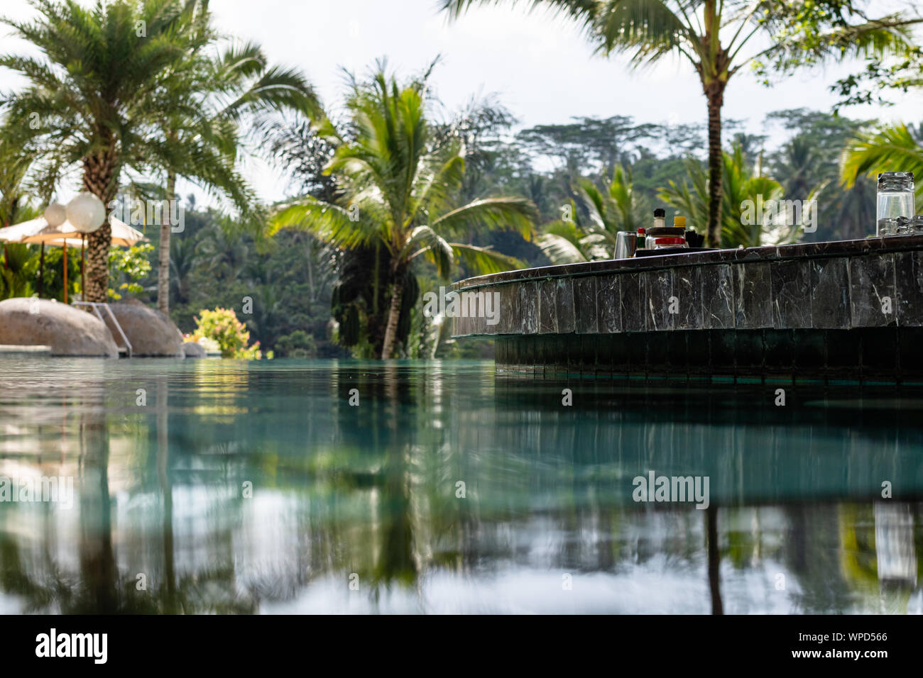 A luxury infinity pool in a tropical resort Stock Photo - Alamy
