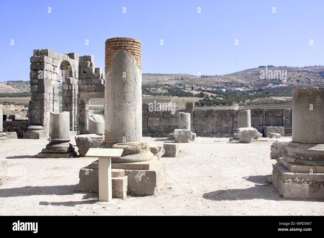 Ruins and columns of the Basilica in Volubilis, Roman city near to ...