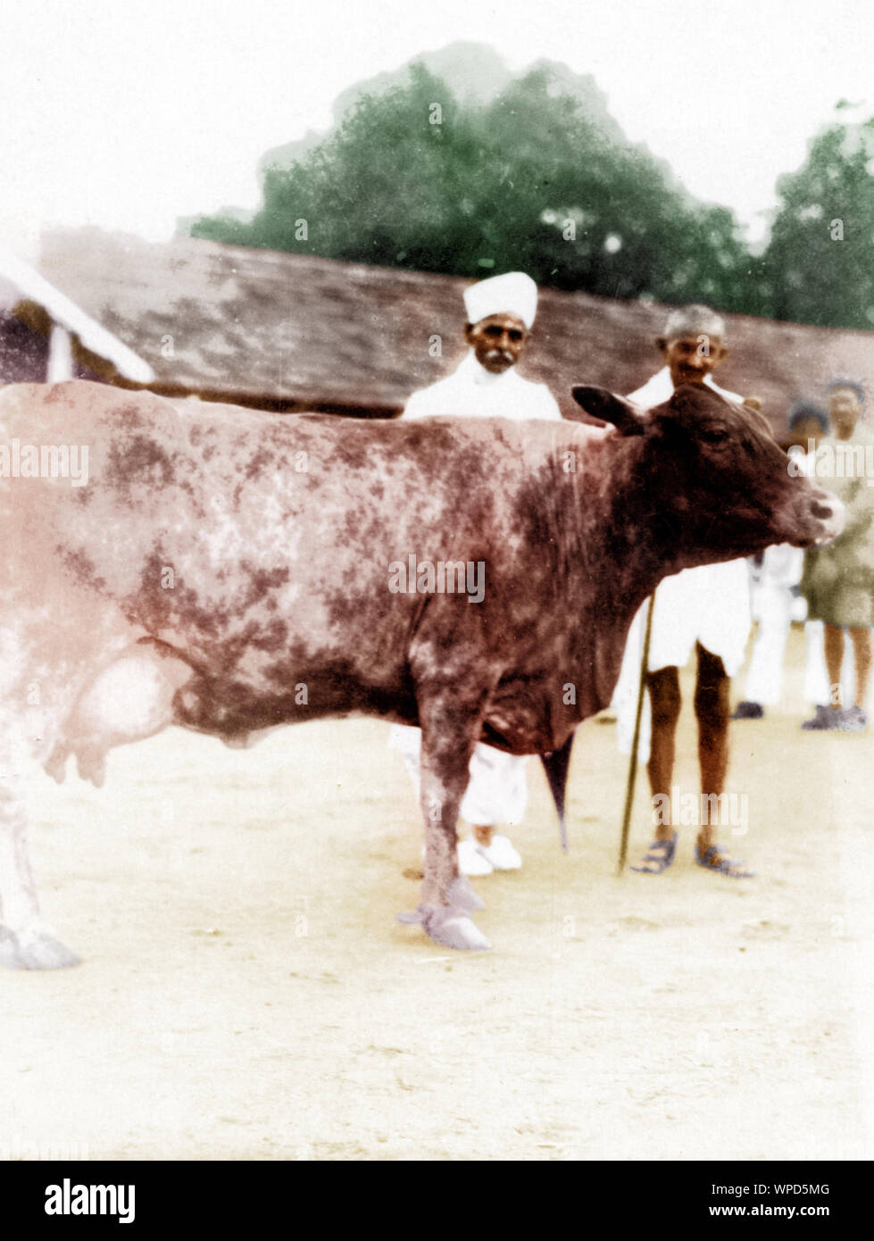 Mahatma Gandhi with Madan Mohan Malaviya, Bangalore, Karnataka, India ...
