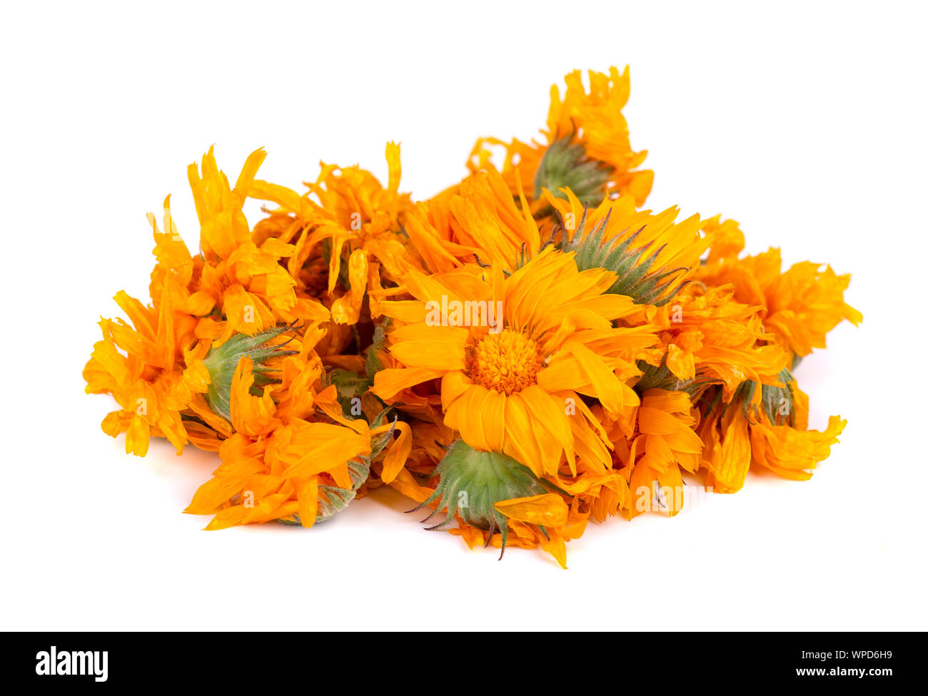 Dried calendula flowers isolated on white background Stock Photo - Alamy