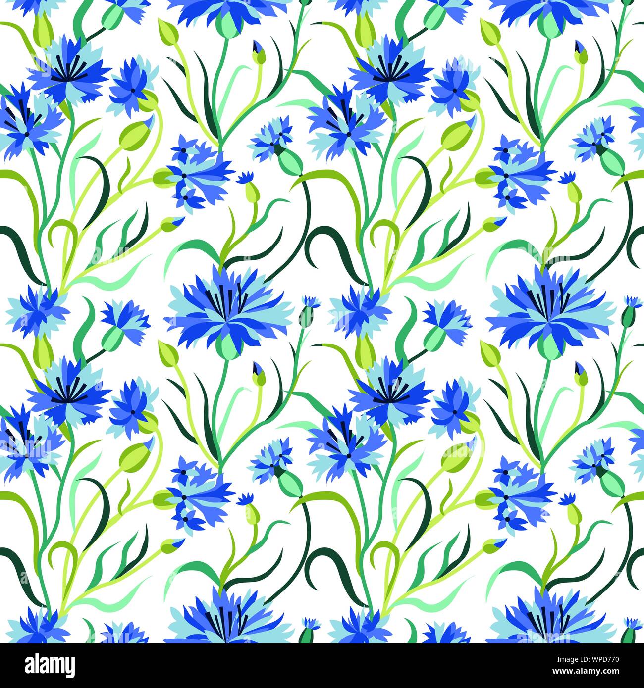 Field cornflower Stock Vector Images - Alamy