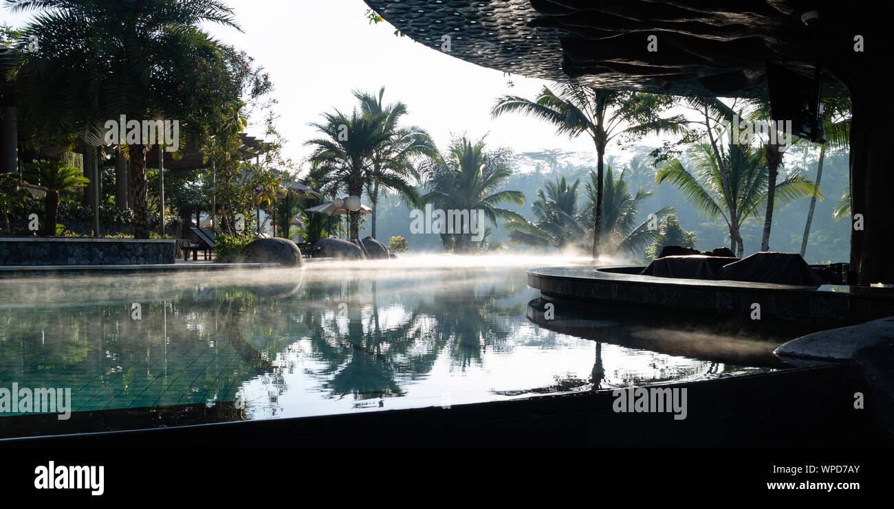 A luxury infinity pool in a tropical resort Stock Photo - Alamy
