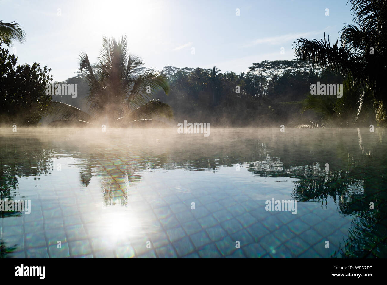 A luxury infinity pool in a tropical resort Stock Photo - Alamy