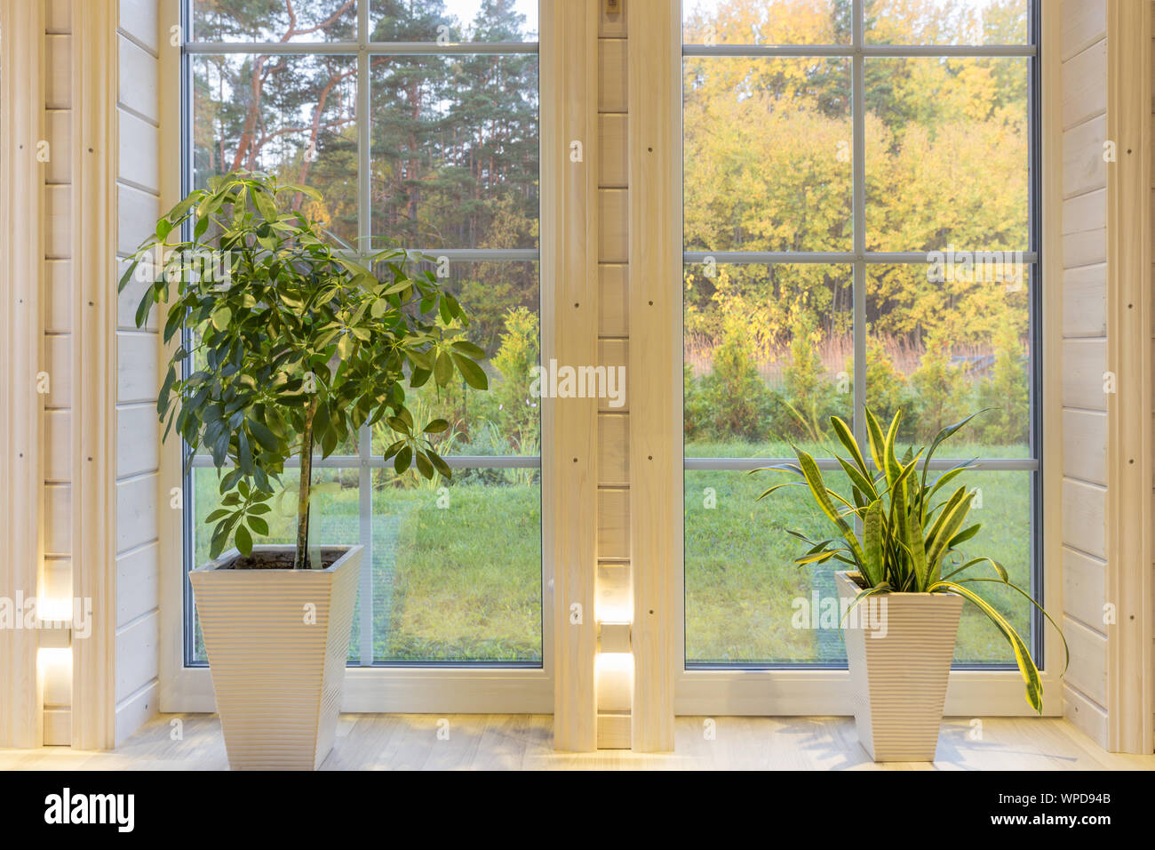 Bright photo studio interior with big window, high ceiling, white ...