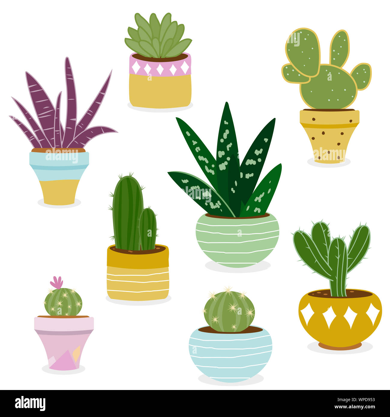 Potted plants cactus hi-res stock photography and images - Alamy