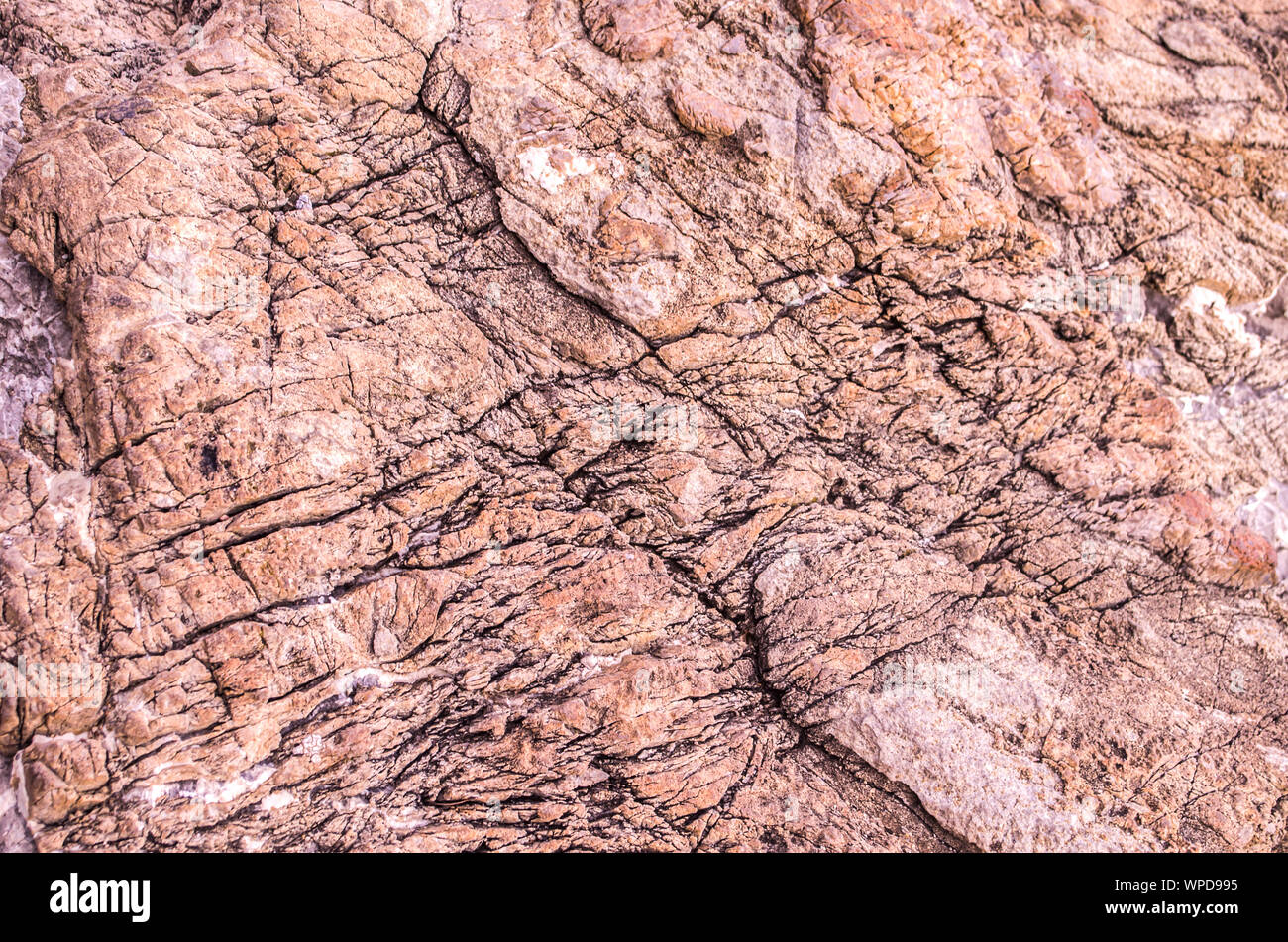 Color photo of stone rock texture. Close-up Stock Photo - Alamy
