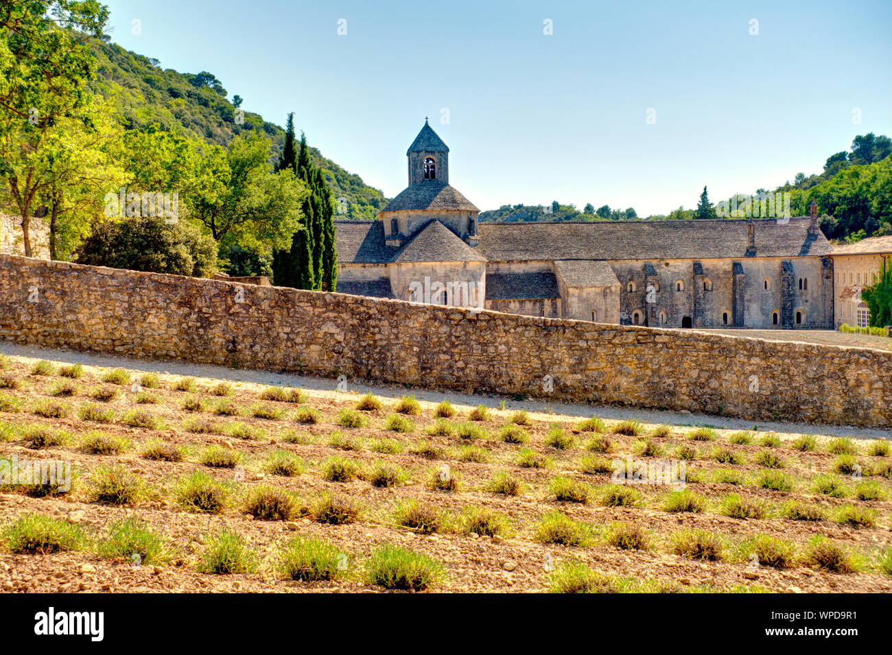 Senanque Abbey, France Stock Photo - Alamy