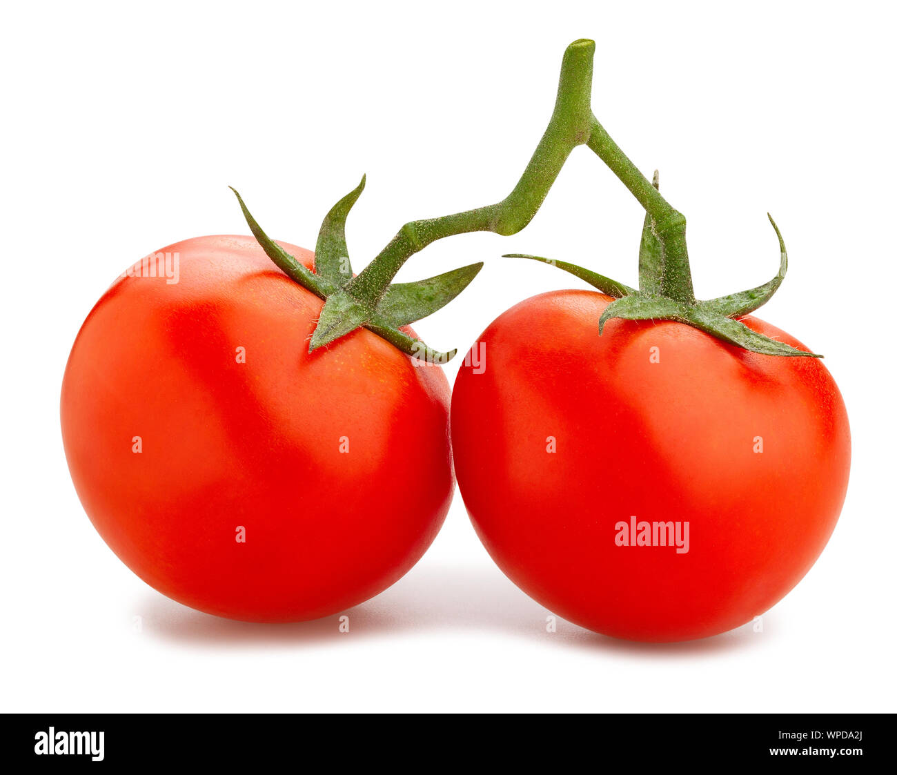 tomato branch path isolated on white Stock Photo - Alamy